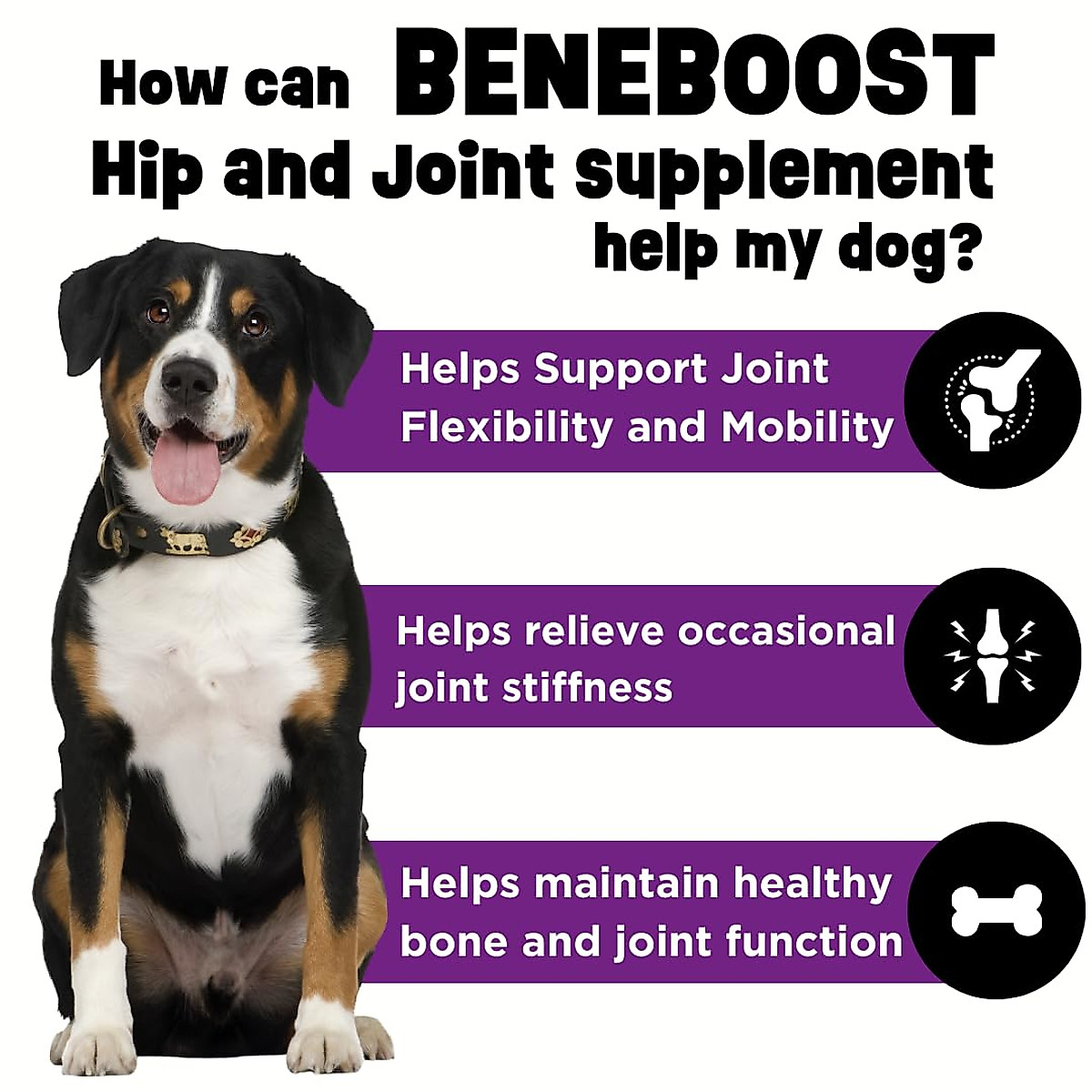 Dinovite BeneBoost Hip & Joint Liquid Food Topper for Dogs - Glucosamine Supplement - Joint Mobility Meal Topper - 16 oz