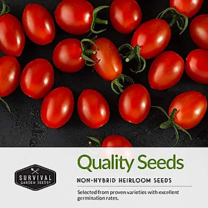 Survival Garden Seeds Salsa Collection Seed Vault - Tomatillo, Tomato, Onion, Jalapeño, Cilantro - Non-GMO Heirloom Seeds for Planting - Grow Vegetables at Home