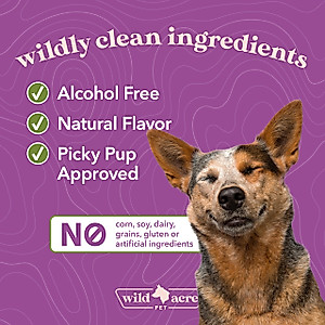 Wild Acre Milk Thistle for Dogs - Max Strength Liver Support, Cleanse & Detox - Natural Bacon Flavor - Simply Add to Food - Picky Pup Approved, 2 oz (60mL)