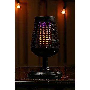 PIC Solar Insect Killer Torch (DFST), Bug Zapper and Accent Light, Solar Bug Zapper - Kills Bugs on Contact