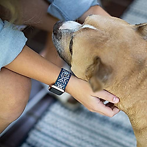 Tefeca Unity Series Elastic Compatible/Replacement Band for Apple Watch/Apple Watch Ultra(Sea Fish,M fits 6.5-7.0 inch wrist, 41/40/38mm)