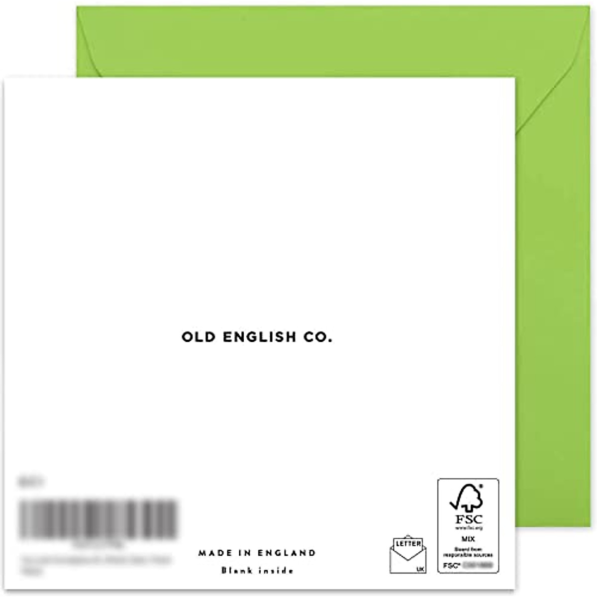 Old English Co. Dinosaur Brother Happy Birthday Card - Fun Brother Birthday Card for Bro | Cute Brothersaurus Card from Sibling, Sister, Brother | Blank Inside & Envelope Included (Brother)