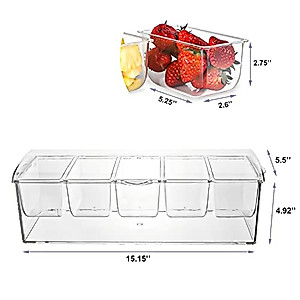 IVYHOME Chilled Condiment Server | Clear Icy Condiment Bar | Chilled Condiment Tray with Lid and 5 Removable Compartments