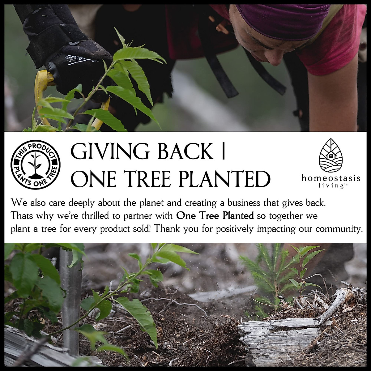 Homeostasis Living | Bamboo Paper Towel Holder Countertop | Natural Wood Paper Towel Holder, Standing Paper Towel Dispenser, Napkin Holder, Kitchen Towel Holder, Reusable Paper Towels Stand Dispenser