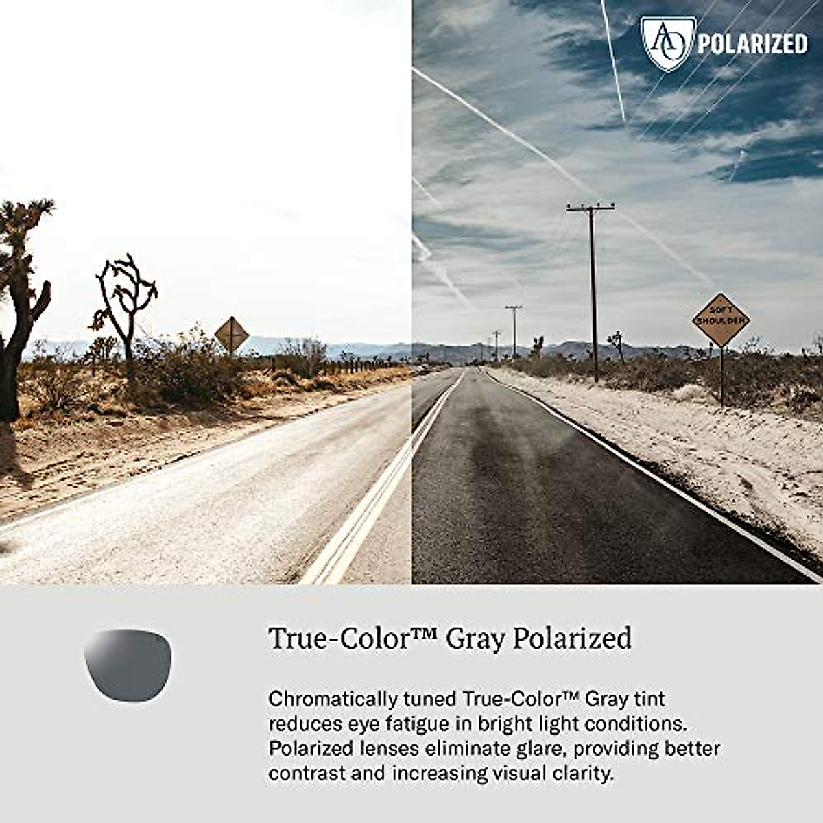 AO Saratoga Sunglasses - Brown Demi - True Color Gray AOLite Nylon Lenses - Polarized - 52-19-145