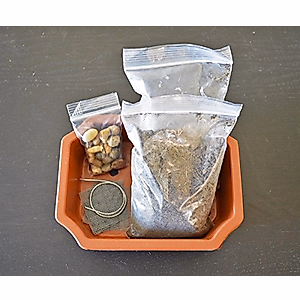 9GreenBox - Bonsai Potting Kit