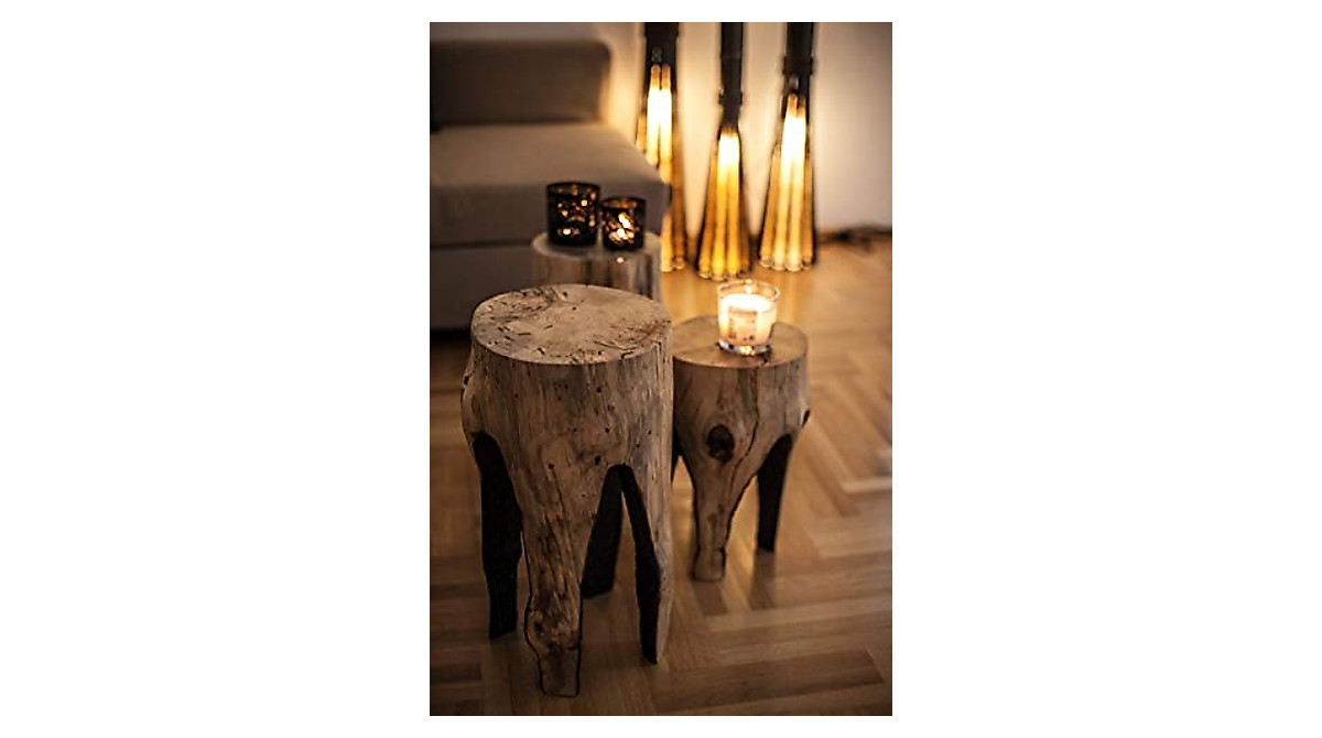 Rustic Reclaimed Wood Tree Stump Side Tables (Set of 2)