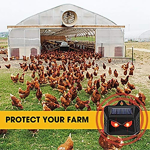 4 Packs Animal Repellent - Solar Predator Control Lights - Fox Deterrents for Gardens - Deer Repellent Devices - Raccoon Repellent - Cat Repellent - Fox Repellent - Motion Sensor Eye Guard