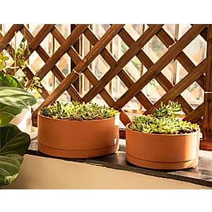 D'vine Dev 10 Inch Succulent Terracotta Shallow Pot with Drainage Hole and Saucer, Round Cylinder Planter Pot for Plant Flower, 40-B-L-10-1
