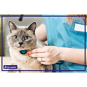 FELIWAY Spray Classic Spray, 60 mL - Reassures Cats During Car Travel, Veterinary Visits & Helps Control Unwanted Behaviours Like Urine Spraying, Scratching - (60 mL Spray, 1-Pack)