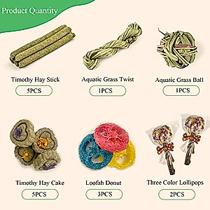 FIPASEN Rabbit Chew Toys for Teeth, 16PCS Natural Timothy Hay Chew Toy, Improve Dental Health for Bunny/Chinchilla/Guinea Pig/Hamsters/Holland Lop, Small Rodent Pet Molar Teeth Treats Toys
