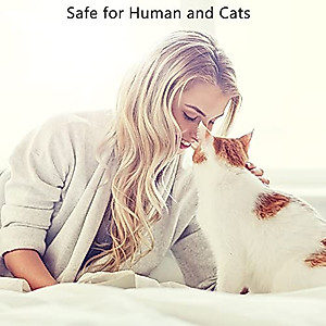 Wustentre 3 Pack Calming Collar for Cats, Cat Calming Collars, Cat Pheromones Calming Collar, Adjustable Cat Anxiety Collar for Cats and Kittens Stress Reliever Relaxing Comfortable Collar (Violet)