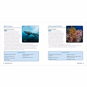 Ocean Animals for Kids: A Junior Scientist's Guide to Whales, Sharks, and Other Marine Life