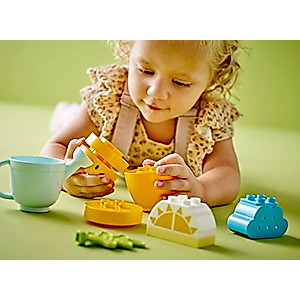 LEGO DUPLO My First Growing Carrot 10981, Stacking Toys for Babies 1.5+ Years Old with 4 Vegetable Bricks, Learning Educational Toy for Toddlers