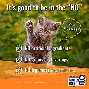 Vital Essentials Freeze Dried Cat Food, Rabbit Mini Nibs 12 oz