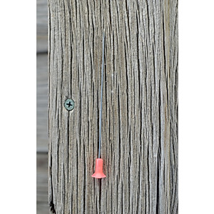 Black Rhino Blowguns 50 Caliber Blowgun Target Wire Darts 50 pcs Neon