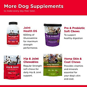 Nutri-Vet Hip & Joint Biscuits for Dogs - Tasty Dog Glucosamine Treat & Dog Joint Supplement - Large Sized Biscuit with 300mg Glucosamine - 6 lb