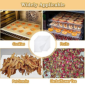 Silicone Dehydrator Sheets, Non Stick Silicone Mesh for Dehydrator Tray Liner 14x14inch Silicone Dehydrator Sheet Food Dehydrator Sheets Fruit Dryer Mesh for Freeze Dryer Dehydrator Accessories - 5pcs