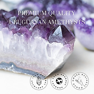 DEEP PURPLE PROJECT 1 Lb Quartz Crystal Cluster Raw Amethyst Stone Plus: GIFT WRAP BOX INCLUDED