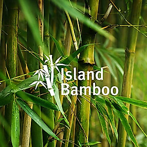 Laguna Bamboo Surf Board Bar Cutting Board Set, 23-inch by 7.5-inch - Earth Friendly Bamboo with Stylish Honey Stripe Design - by Island Bamboo (2 Pack)