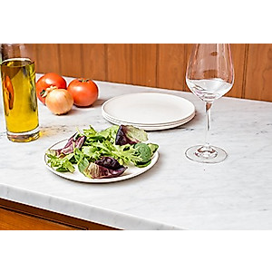 EVO Sustainable Goods 10" Plate, Set of Four, White