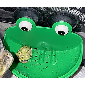 2 Pieces Frog Habitat with Dual Suction Cups Cute Fish Tank for Amphibian Aquatic Toad Frog Tadpole Tree Frog Small Aquatic Animals