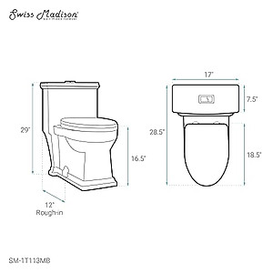 Voltaire One-Piece Elongated Toilet Dual-Flush 1.1/1.6 gpf in Matte Black