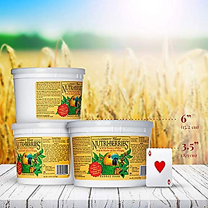 LAFEBER'S Classic Nutri-Berries Pet Bird Food, Made with Non-GMO and Human-Grade Ingredients, for Parrots, 3.25 lb