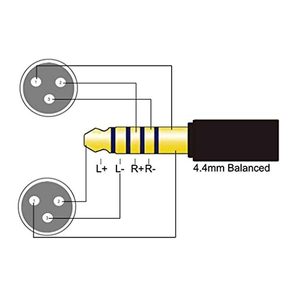 Youkamoo 4.4mm to Dual XLR Male Balanced Audio Headphone Adapter Silver Plated Cable 1 FT 0.3M
