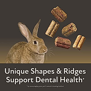 Kaytee Field+Forest Rabbit Food 4 Pounds