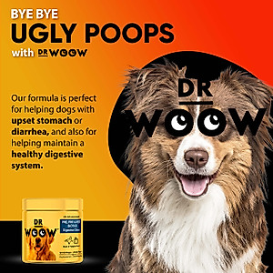Dr Woow Probiotics for Dogs, Pet Dog Probiotics and Digestive Enzymes, Duck & Pumpkin Flavor Dog Probiotic Supplements, Dog Vitamins Dog Probiotic Chews and Prebiotics for Dogs, Dog Gas Relief