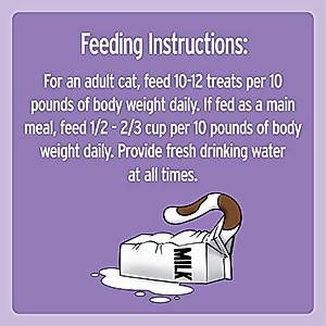 TEMPTATIONS Classic Crunchy and Soft Cat Treats Creamy Dairy Flavor, 16 oz. Tub