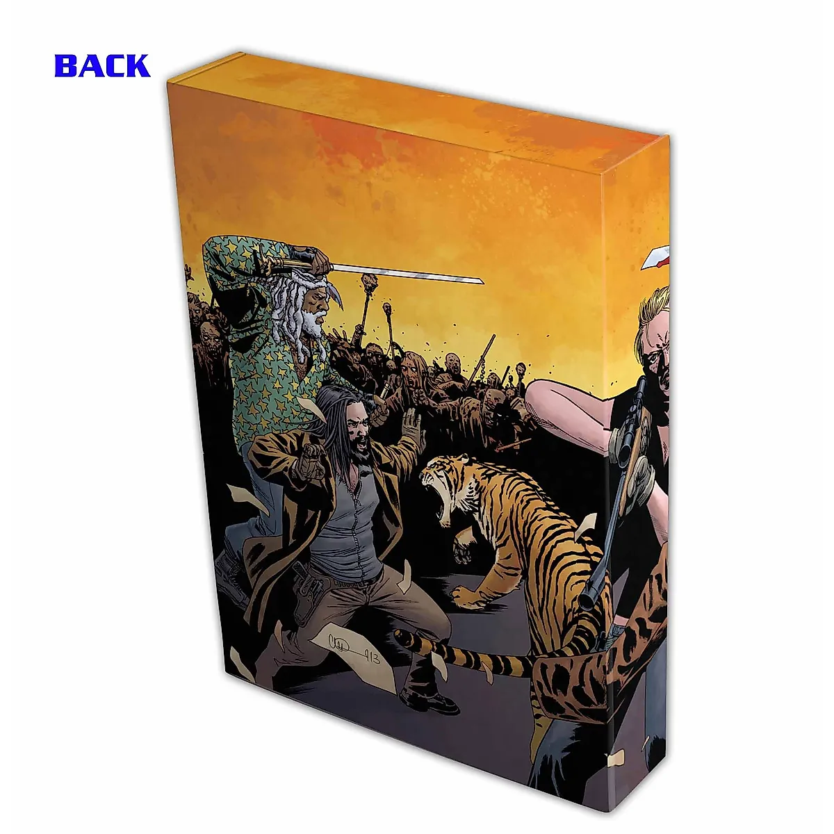BCW Skybound Comic Book Display Album, 8 x 11 x 2, Officially Licensed