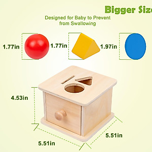 Adena Montessori Coin Box,3 in 1 Object Permanence Box Toys for 1 Year Old Baby Coins,Wooden Montessori Ball Drop Toys Developmental Toys for 6-12 Month Infant Toys,Triangle Ball Round Shapes