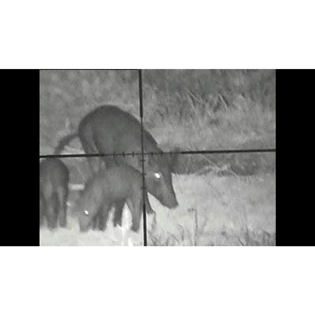 Night Vision Scope Attachment 3D