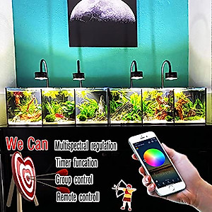 Lominie WiFi Controller Aquarium Light with 5-pin Connector Timer for Upgraded Asta 20 Pixie 30 Asta 120 Pixie 80 Saltwater Aquarium Light (4 Channels)