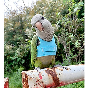 Bird Flight Harness Vest, Parrot Flight Suit with Leash for Parakeets Cockatiels Conures Budgies, Bird Flying Clothes with Rope and Handle for Outdoor Activities Training, Anti Bite (M, Blue)