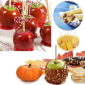 HANSGO Wooden Candy Apple Skewer Sticks, 6mm 5.25inch Natural Bamboo Skewers BBQ Caramel Apple Sticks Cotton Candy Stick Rock Candy Stick Skewer Semi Pointed Lollipop Sticks Barbecue Corn Dog