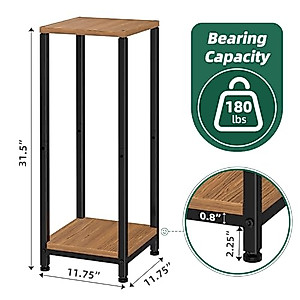 Simple Trending Plant Stand Indoor Corner Tall 2 Tier Metal Modern Flower Plant Shelf Holder, Heavy Duty Wood Storage Stand (2 Tier-Black)