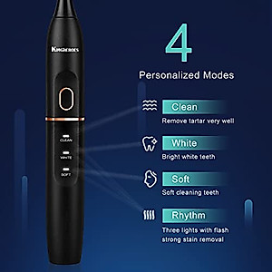 kingheroes Sonic Electric Toothbrush with 8 Brush Heads & Travel Case，4 Modes, One Charge for 60 Days, 42000 VPM Motor，Black Electric Toothbrush Set