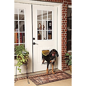 PetSafe Extreme Weather Energy Efficient Plastic Pet Door for Cats and Dogs - Large,White