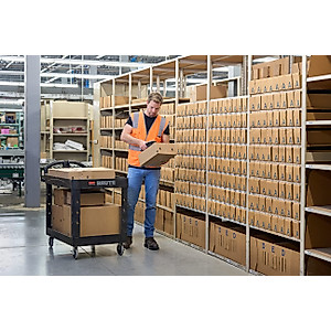 Rubbermaid Commercial Products 2-Shelf Utility/Service Cart, Medium, Lipped Shelves, Ergonomic Handle, 500 Lbs Capacity, for Warehouse/Garage/Cleaning/Manufacturing (FG452088BlA)