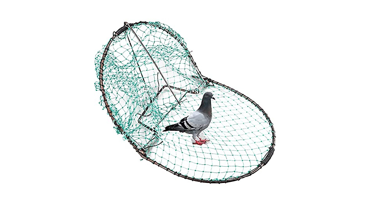 Humane 16" Bird Trap for Small Birds Pigeons & Sparrows