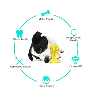 Splooty Paw Yellow Dog Toothbrush Chew Toy - Dog Toy Toothbrush Stick/Teeth Cleaning Toy for Dogs/Puppy Teething Chew Toy to Ensure Their Oral Health and Dental Hygiene