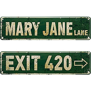 2 Pieces Vintage Exit Sign Decor Retro Avenue Street Sign Lane Sign Metal Tin Street Sign for Home Wall Bedroom Decor, 4 x 16 Inches (Exit 420)
