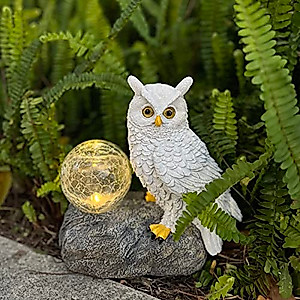 ARTCOS Garden Solar Lights Outdoor Decorative Pure White Owl Statue with Crackle Glass Globe LED Lights for Backyard, Lawn, Patio Decoration (Big)
