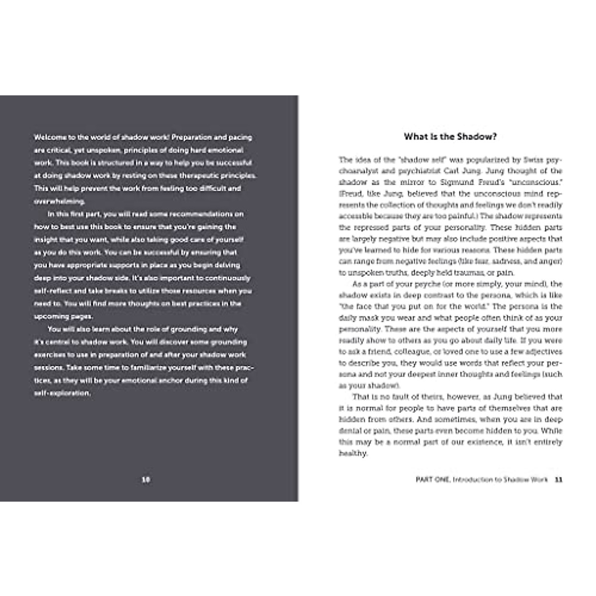 The Shadow Work Workbook: Self-Care Exercises for Healing Your Trauma and Exploring Your Hidden Self