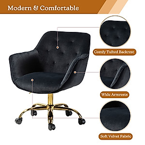 HULALA HOME Velvet Office Chair with Gold Base, Modern Cute Mid-Back Desk Chair, Adjustable Swivel Task Chair for Living Room, Bedroom, Study, Vanity, Black