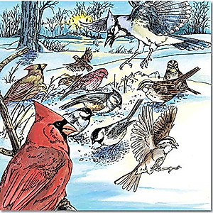 A Walk in the Woods (Dover Nature Coloring Book)