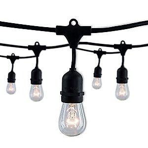 Bulbrite 14 ft, 10-Socket Decorative Kit with Clear Incandescent STRING10/E26/BLACK-S14KT Indoor and Outdoor String Lights, Black